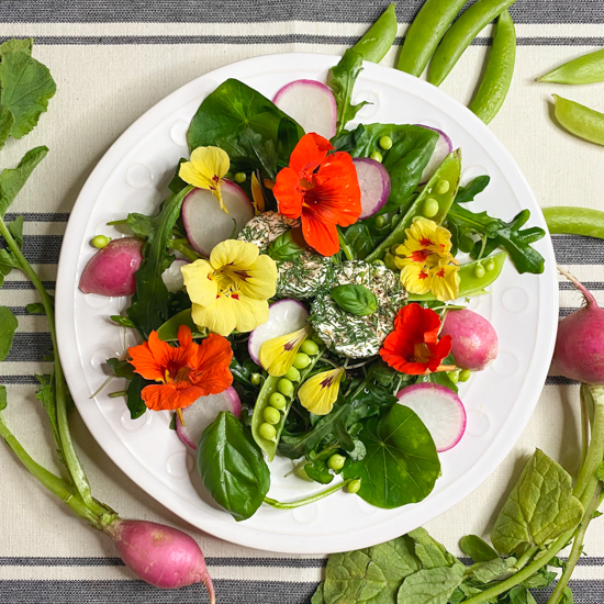 Cooking with Edible Flowers | Thirsty Radish